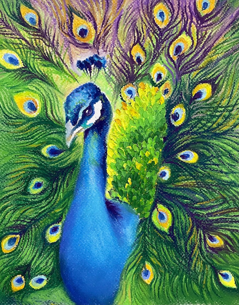 Original Peacock Oil Pastel Drawing - Etsy