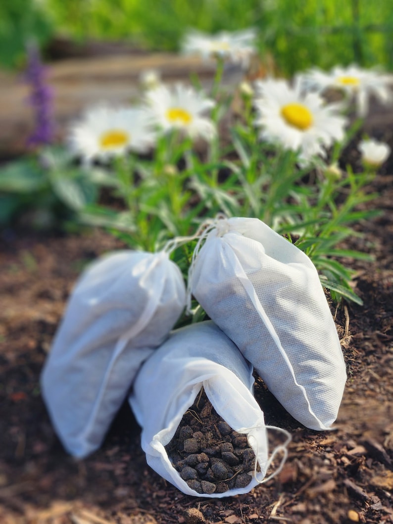 Alpaca Bean Tea - Etsy