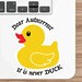 Funny Adult Waterproof Sticker Gifts | Funny Adult Animal Stickers ...