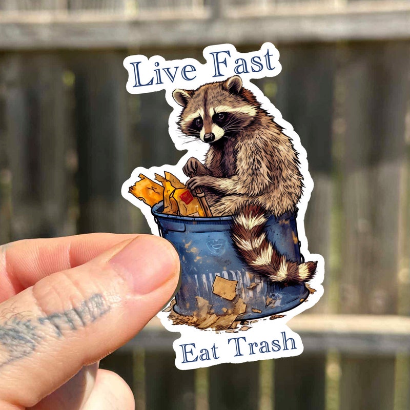 Trash Panda Stickers - Etsy
