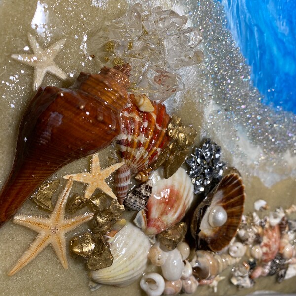 Seashell Wall Art - Etsy