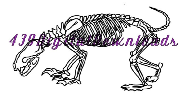 Badger Skeleton Original SVG Dxf Eps Png and JPEG - Etsy