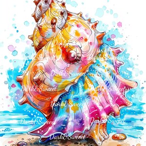 15 Rainbow Watercolor Seashell Clip Art Set | Coastal Beach Digital ...