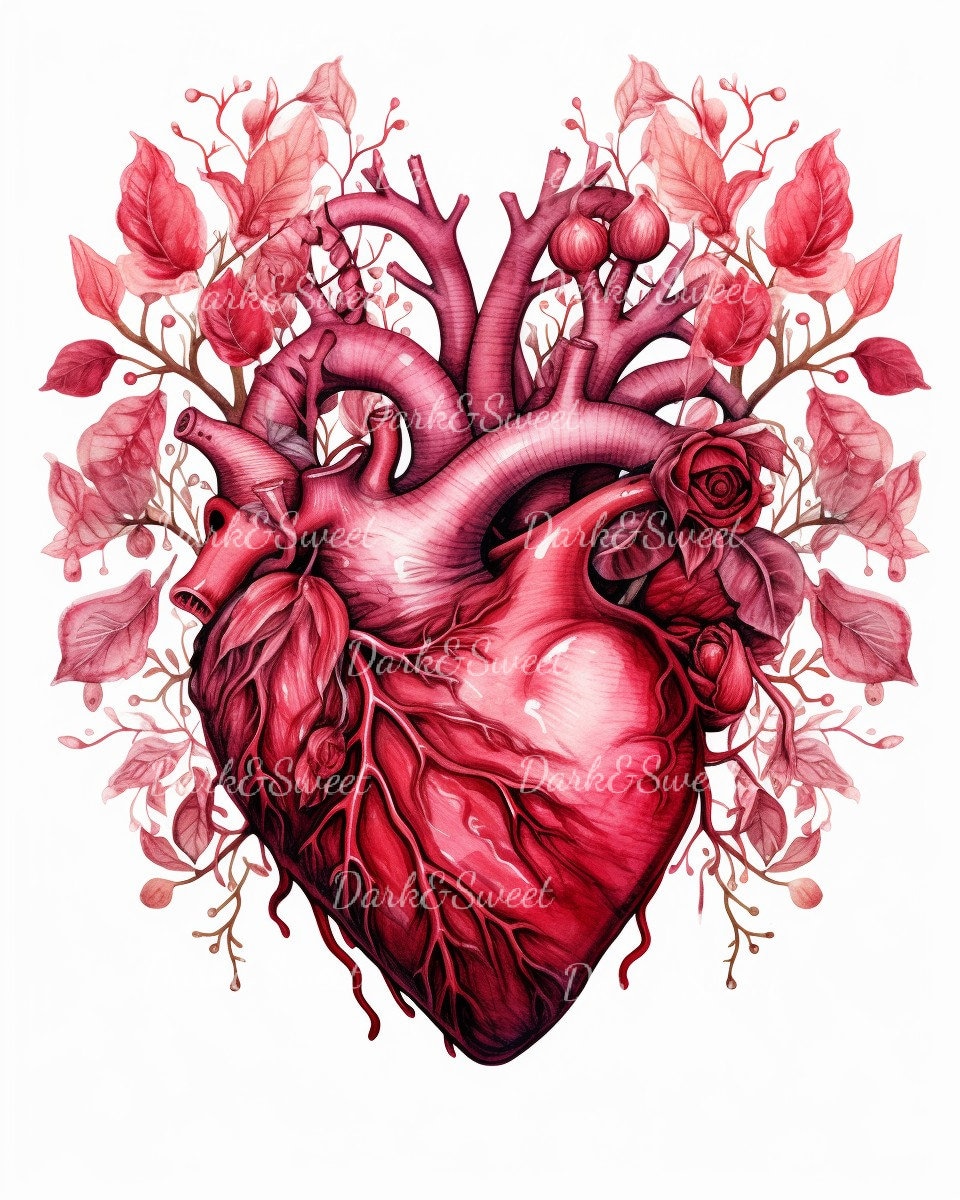 10 I Give You My Heart/human Heart/valentine's Day Clip Art High ...