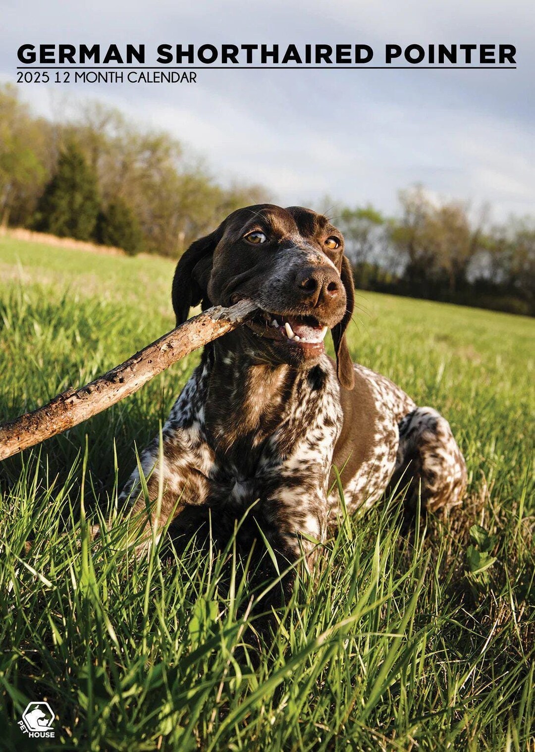 German Shorthaired Pointer 2025 Calendar, A3, Wirobound, Full Colour - Etsy