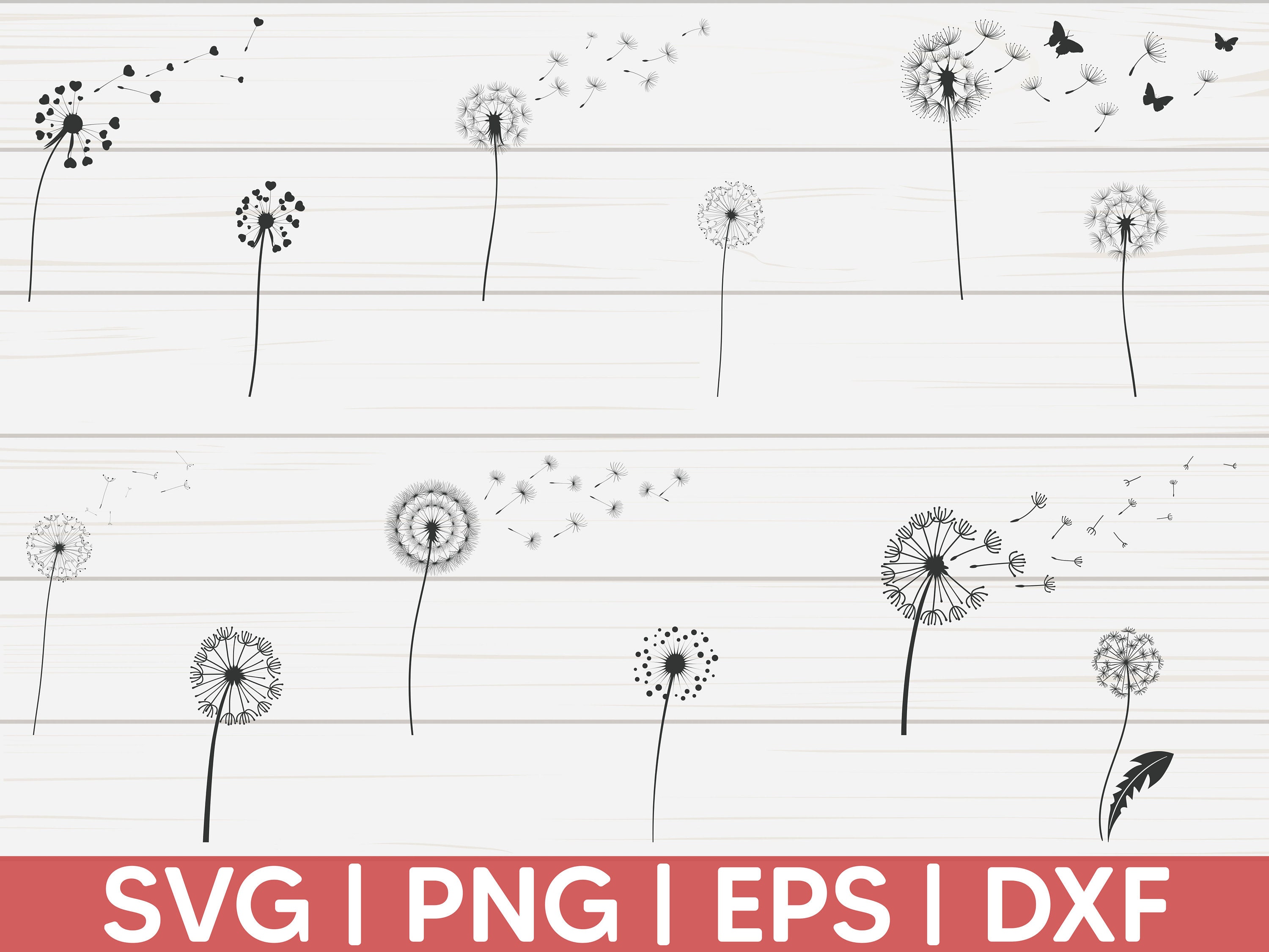 Dandelion SVG Dandelion SVG Bundle Dandelion Cricut Dandelion Clip Art ...