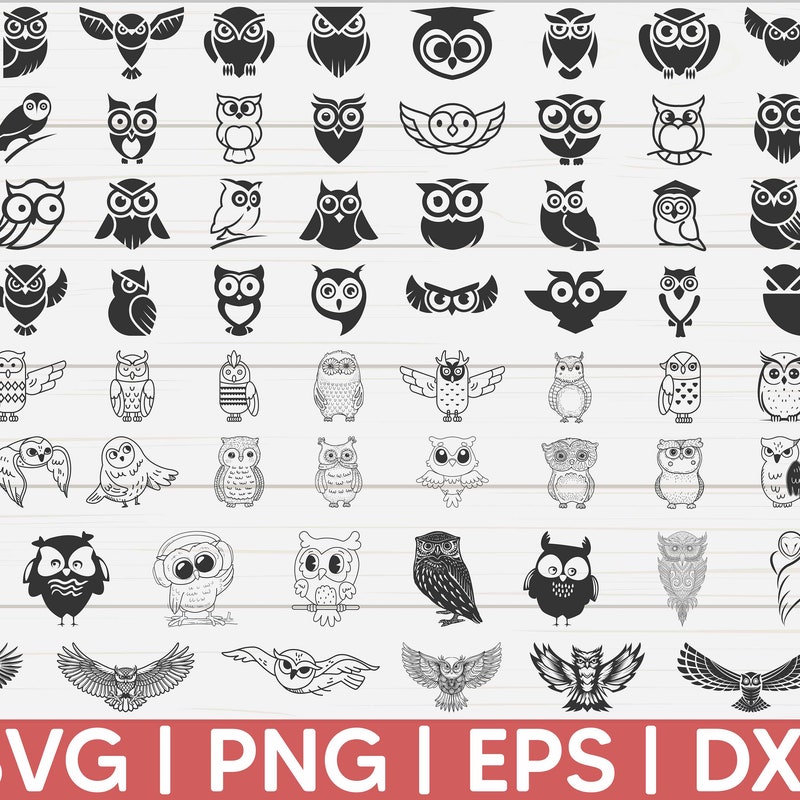 Owl Svg - Etsy