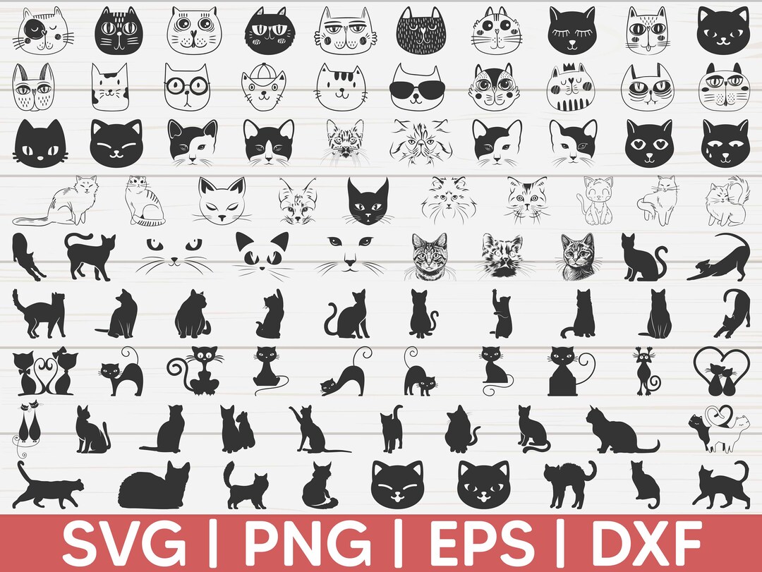 Cats SVG | Cat Svg | Kitten Svg | Cute Cat Svg | Cartoon Cat Svg | Cat ...