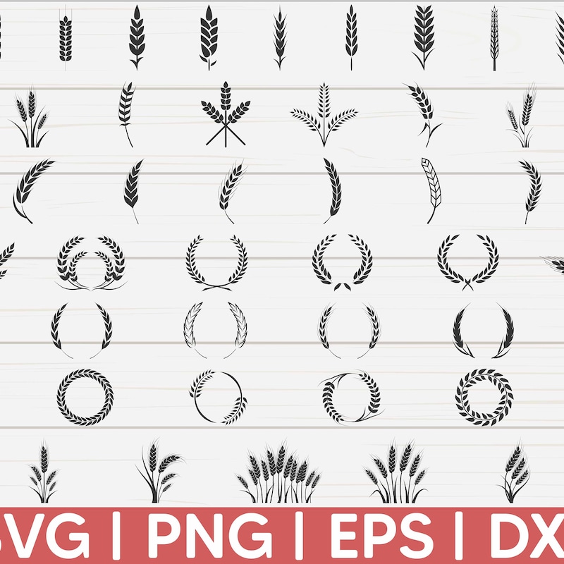 Wheat Svg - Etsy
