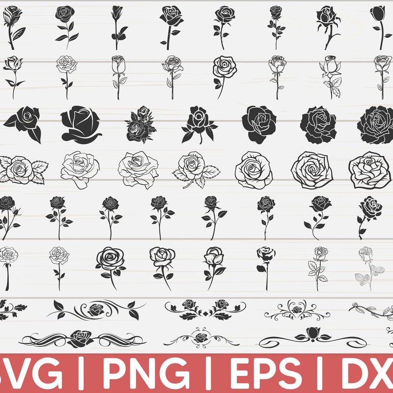 Roses Svg - Etsy