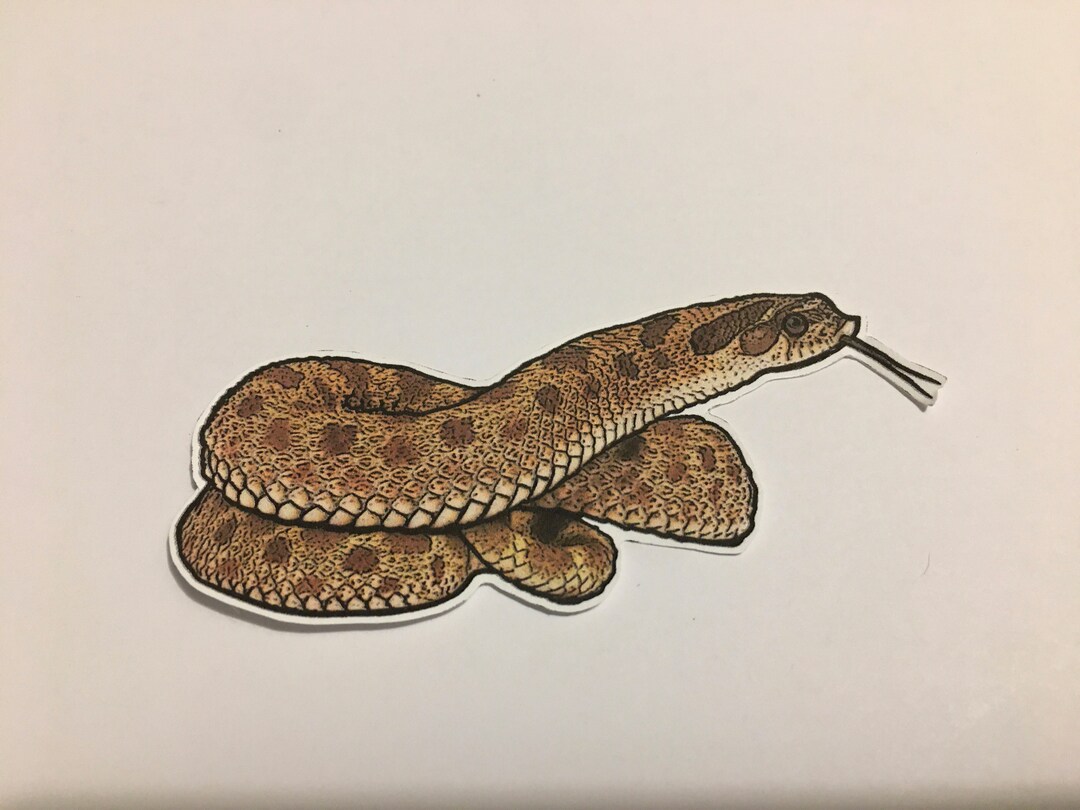 Hognose Sticker - Etsy