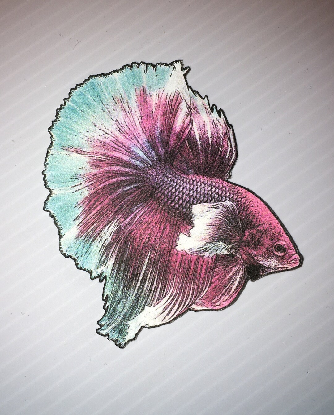 Betta Fish Stickers - Etsy