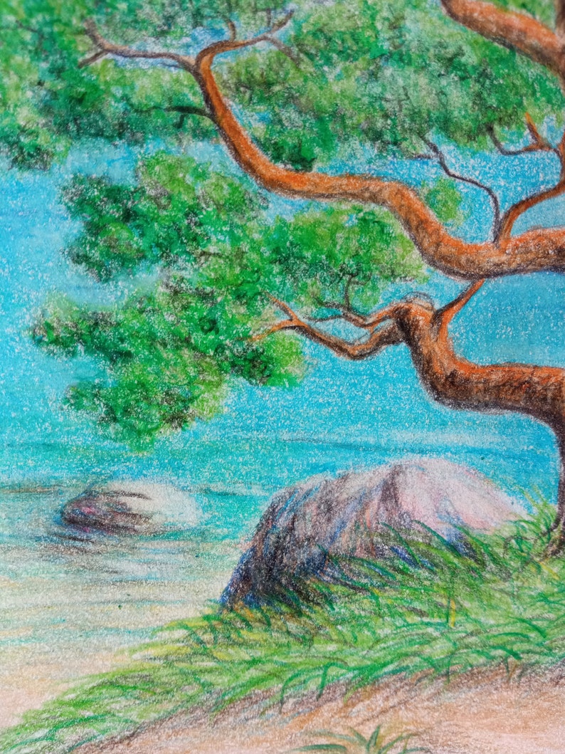 Art,drawings ,illustrations , Pencil . Hand-painted Illustration(color ...