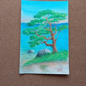 Art,drawings ,illustrations , Pencil . Hand-painted Illustration(color ...