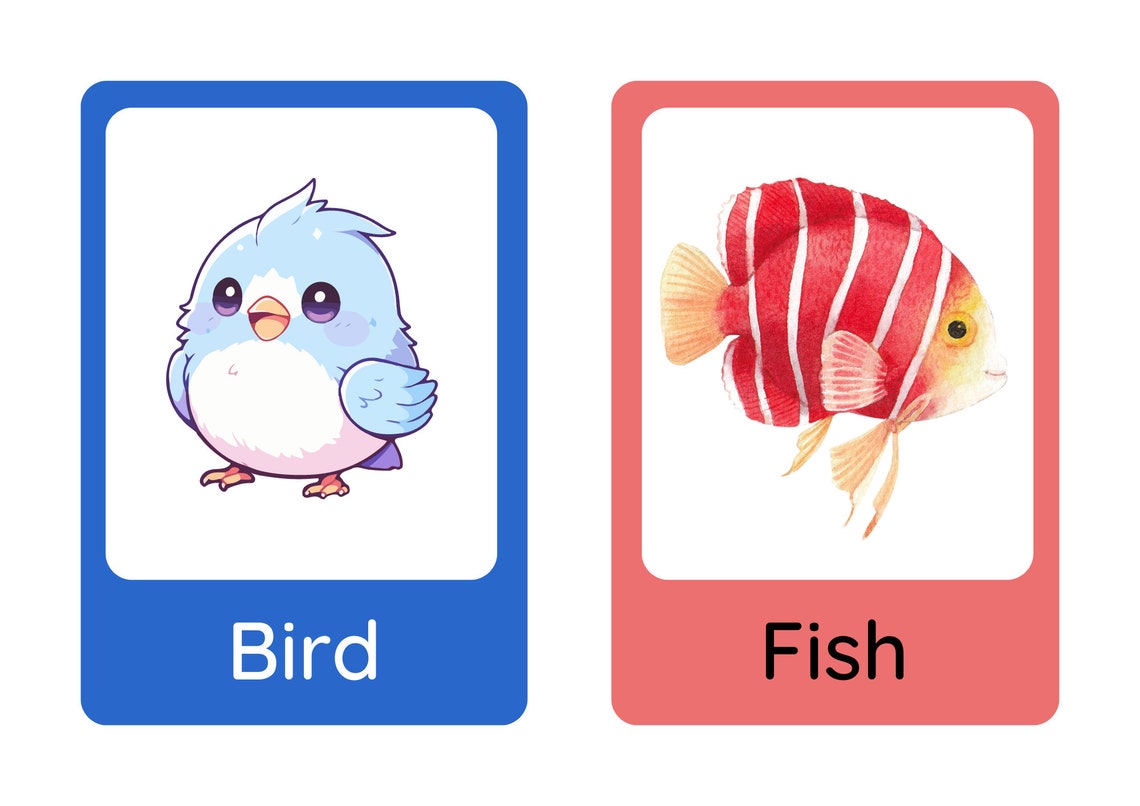 Flashcard - Animals - Etsy UK