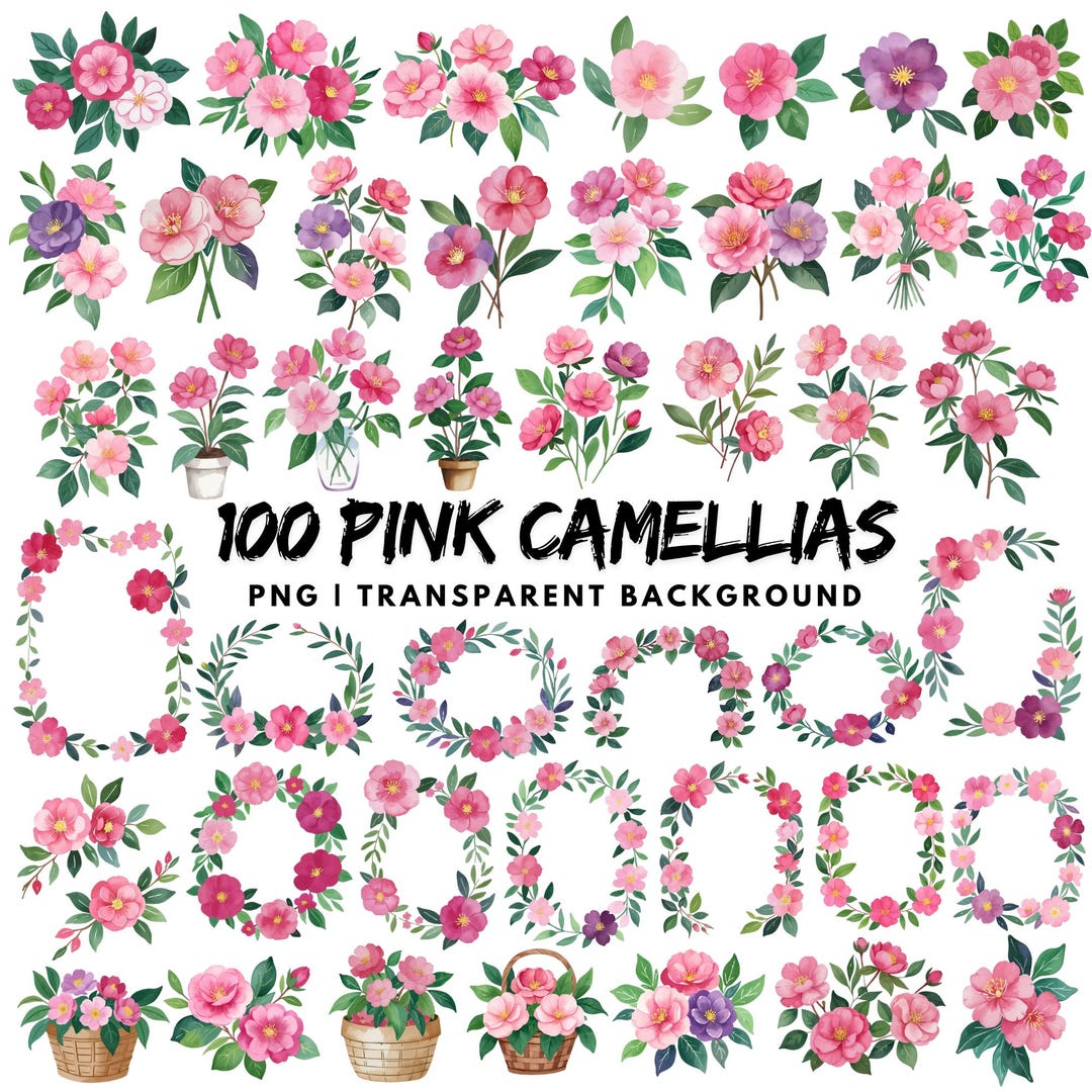 100 Watercolor Pink Camellias PNG, Floral Camellia Bundles, Flowers ...