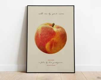 Call Me by Your Name 2017 Luca Guadagnino Japanese Movie Flyer Poster Chirashi B5 - Etsy