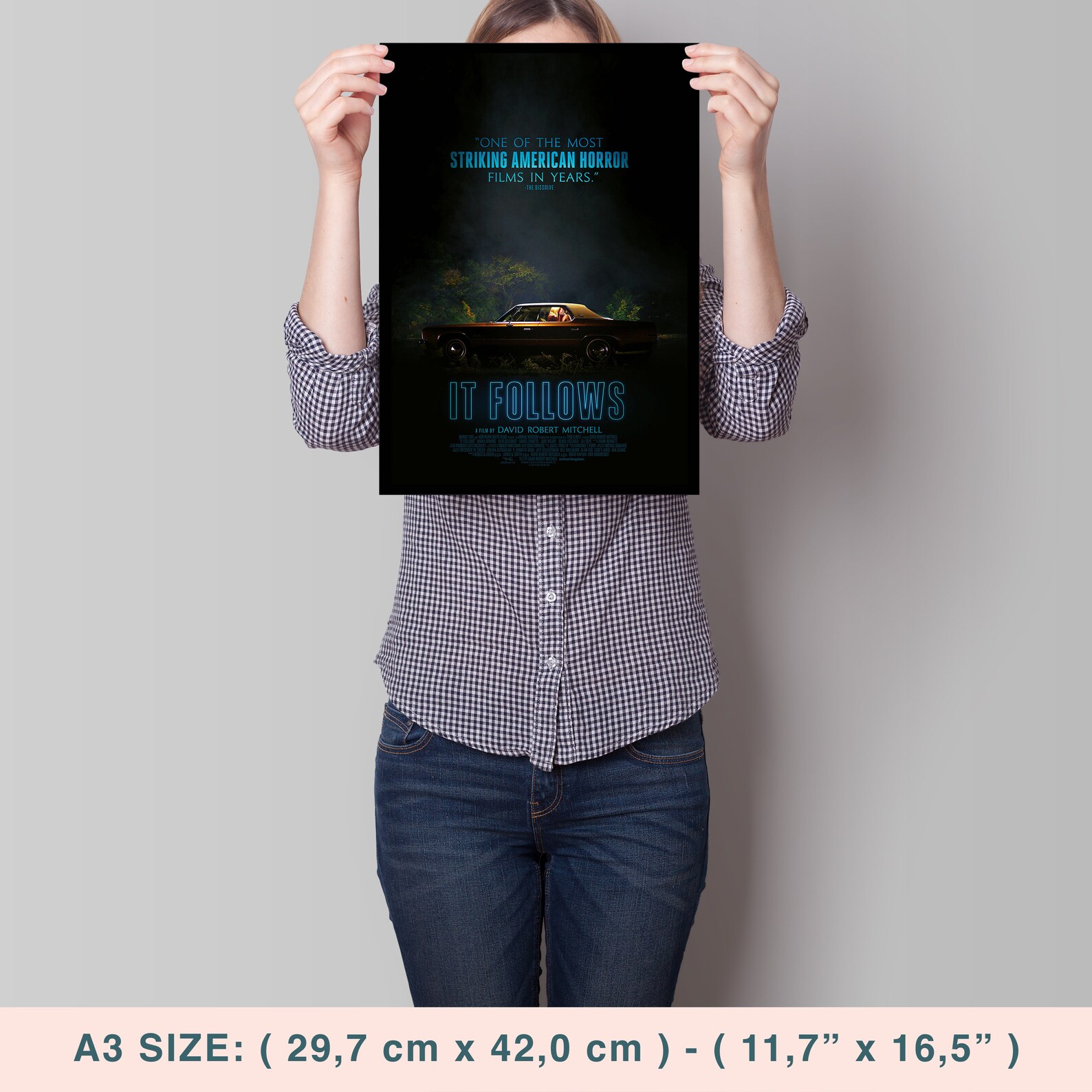 It Follows, David Robert Mitchell, Maika Monroe, 2014 - HQ Movie Poster ...