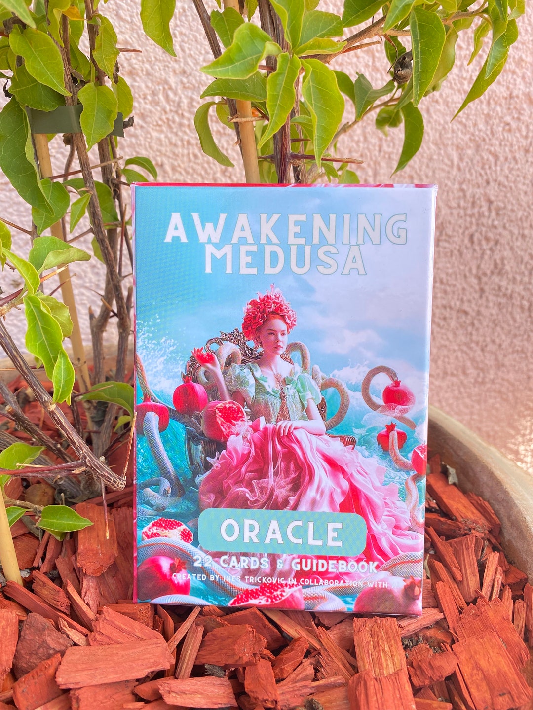 Awakening Medusa Oracle Deck -BIG SALE - Etsy