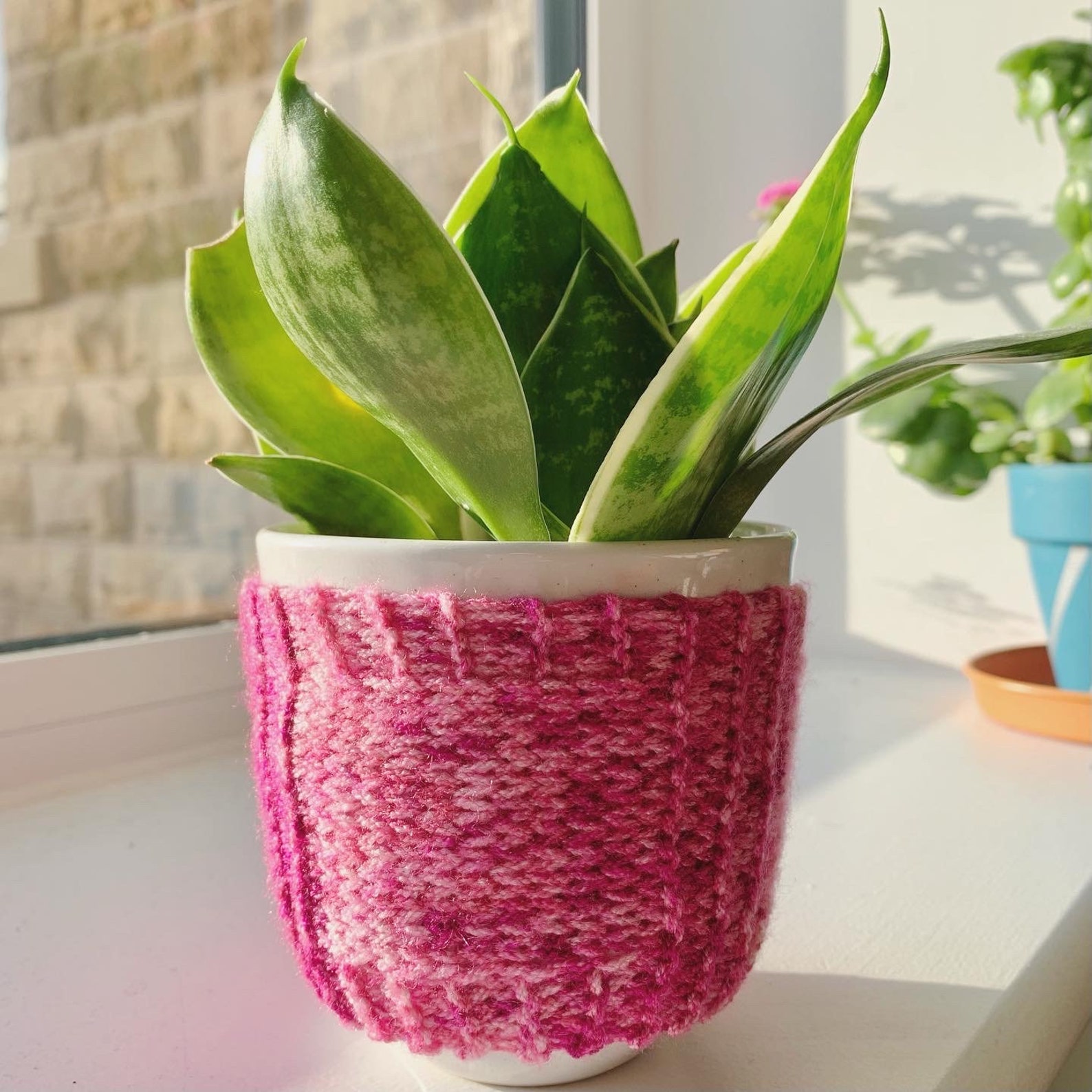 Handmade Knitted Plant Pot Cover - Keeps Houseplants Cosy, Colourful ...