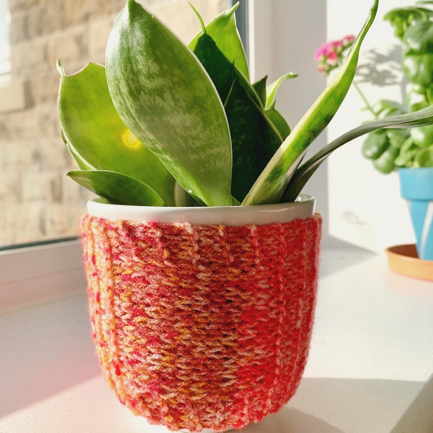 Handmade Knitted Plant Pot Cover - Keeps Houseplants Cosy, Colourful ...