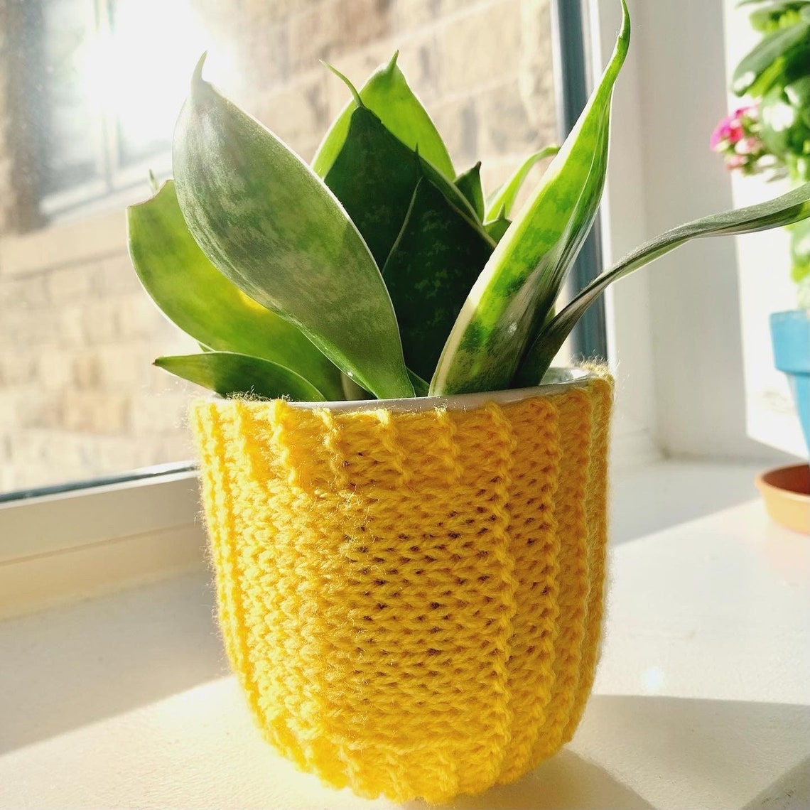 Handmade Knitted Plant Pot Cover - Keeps Houseplants Cosy, Colourful ...