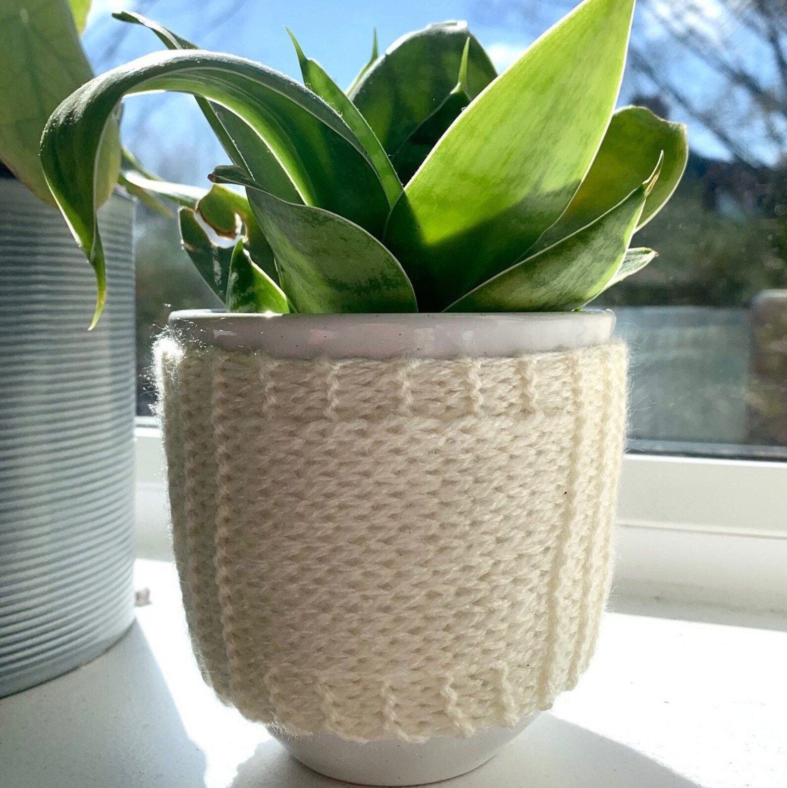 Handmade Knitted Plant Pot Cover - Keeps Houseplants Cosy, Colourful ...