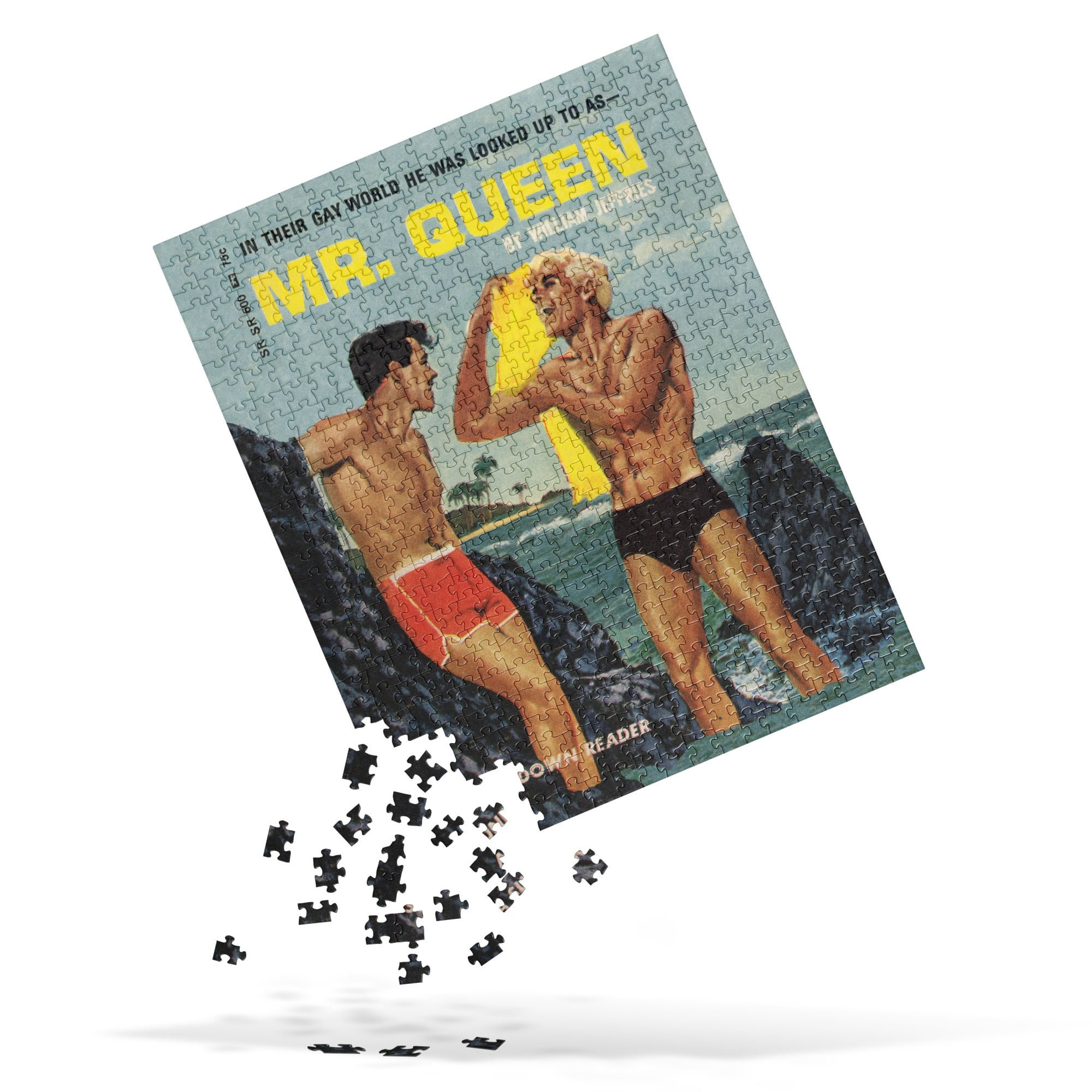Mr. Queen Vintage Gay Pulp Cover Puzzle - Etsy