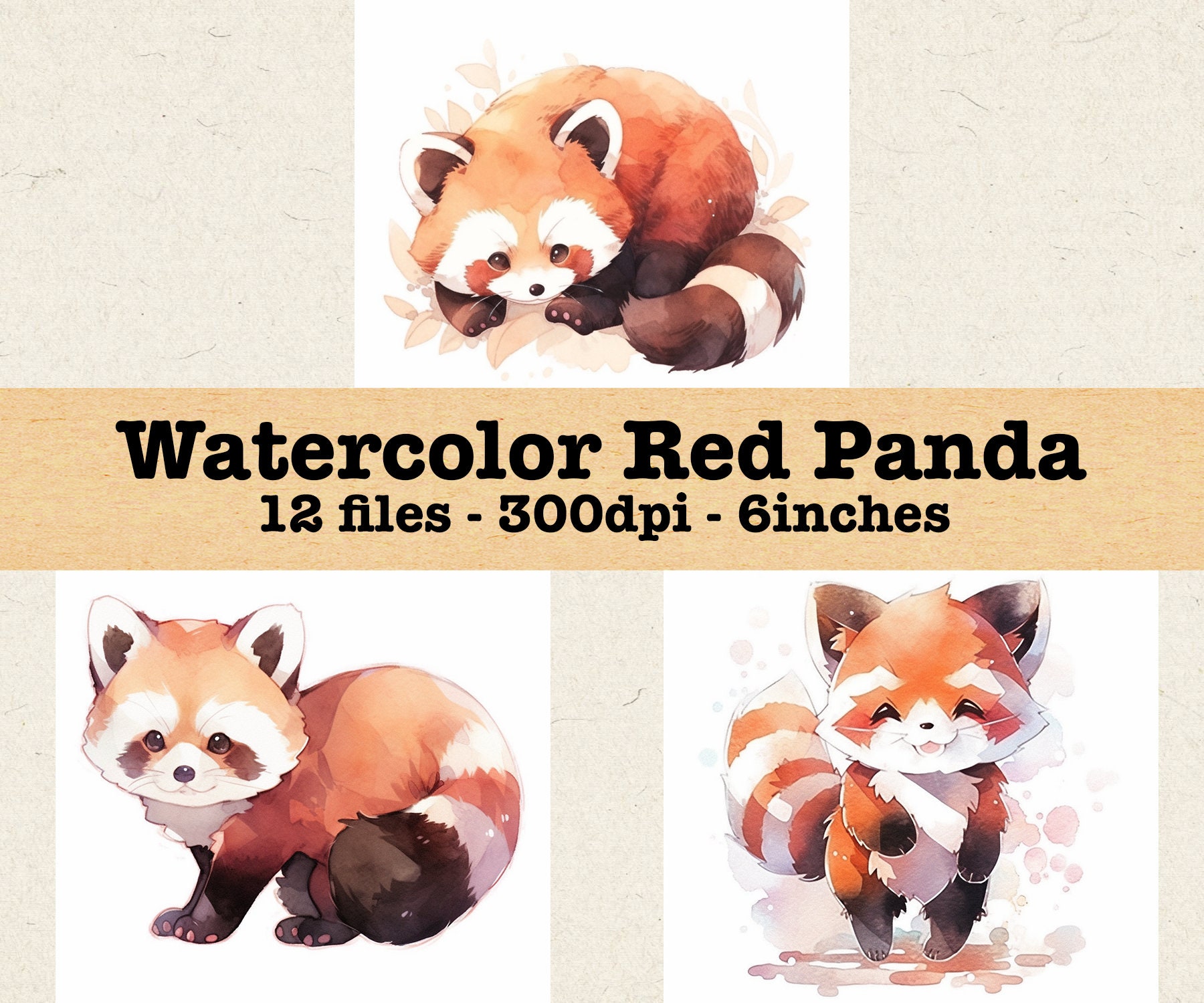 Watercolor Kawaii Red Pandas Clipart Set | PNG Bundle | Instant ...