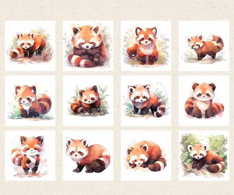 Watercolor Kawaii Red Pandas Clipart Set | PNG Bundle | Instant ...
