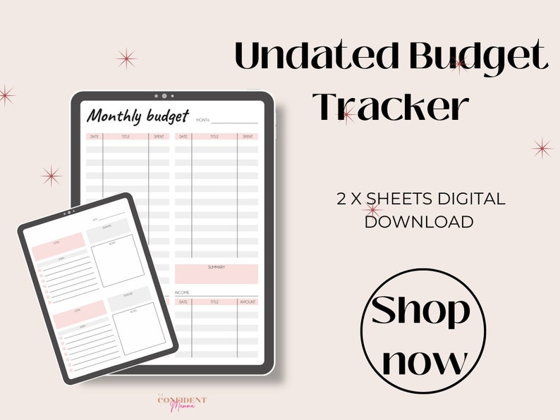 Monthly Budget Tracker Template Instant Download iPad Pdf - Etsy
