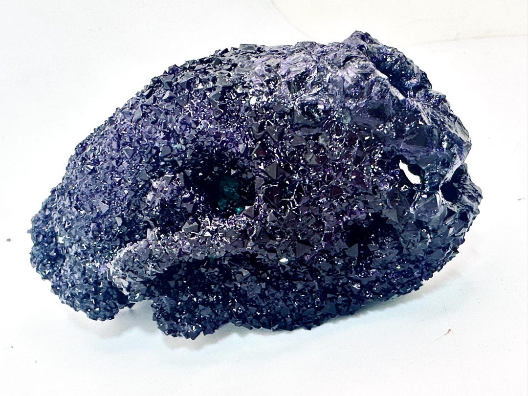 Crystallized Skunk Skull - Dark “amethyst” Crystal Geode • Real Animal ...