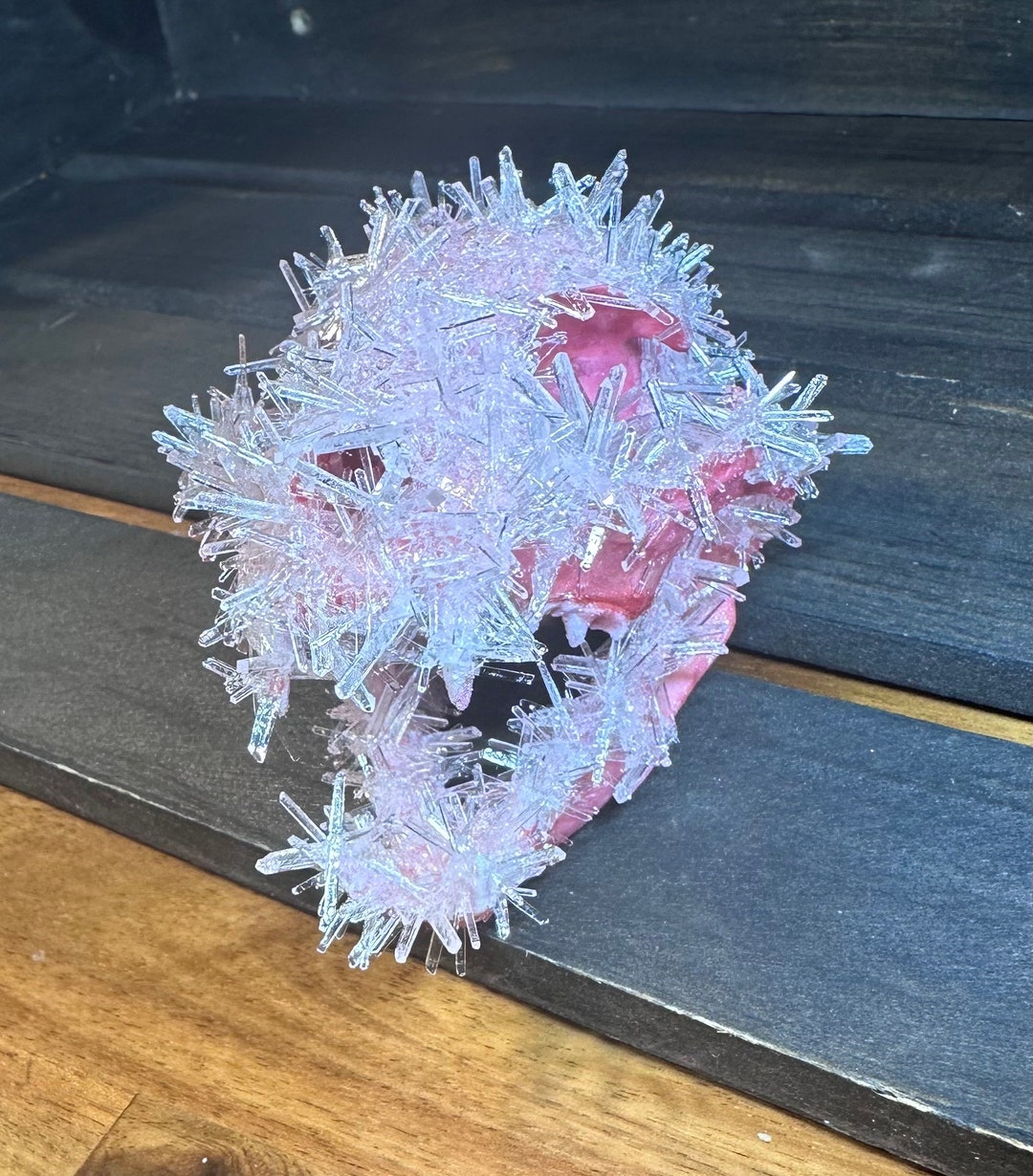 Crystallized Pink quartz and Druzy Cat Skull Real Animal - Etsy