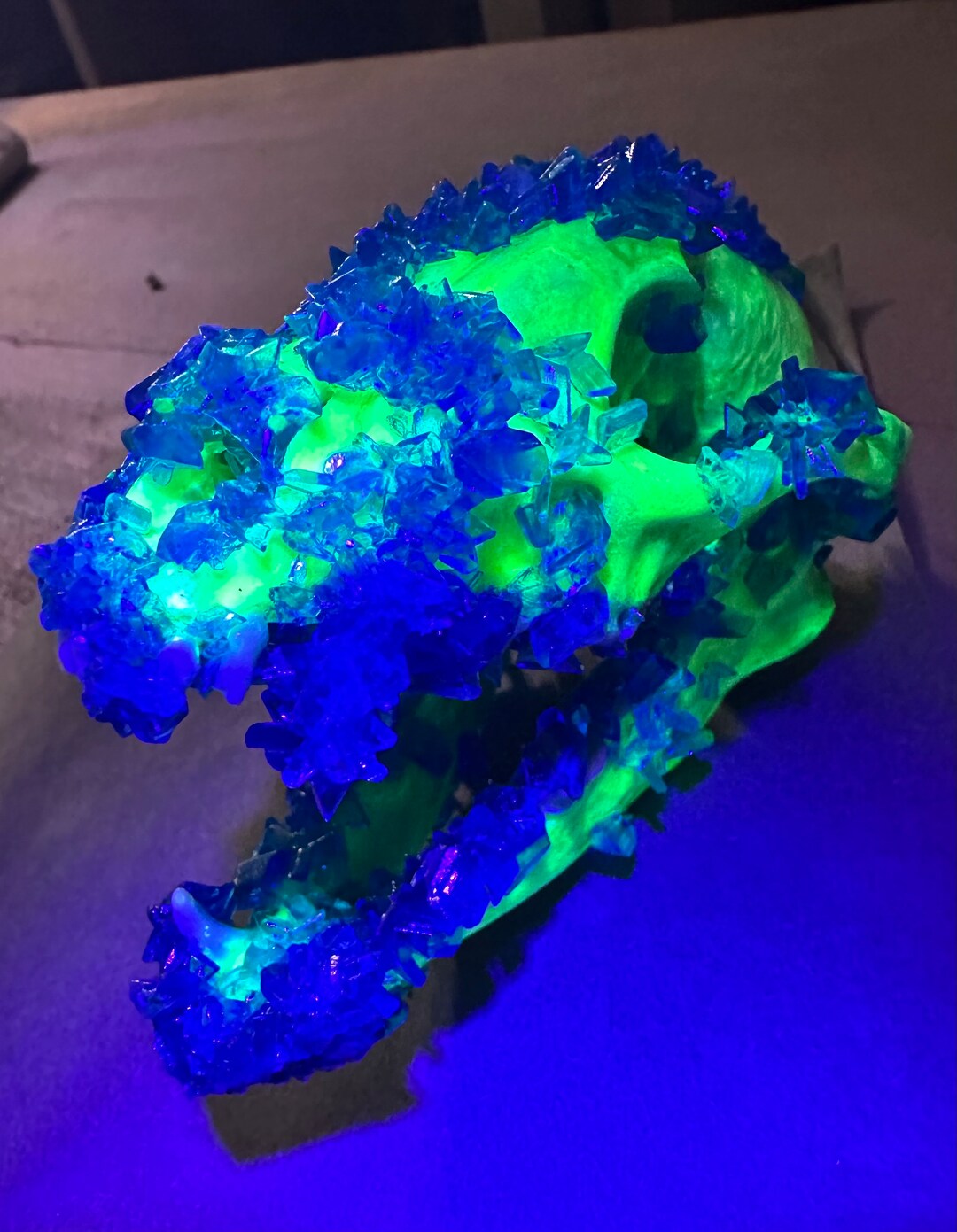 Crystallized Raccoon Skull chalcanthite Style Crystals and Uranium ...