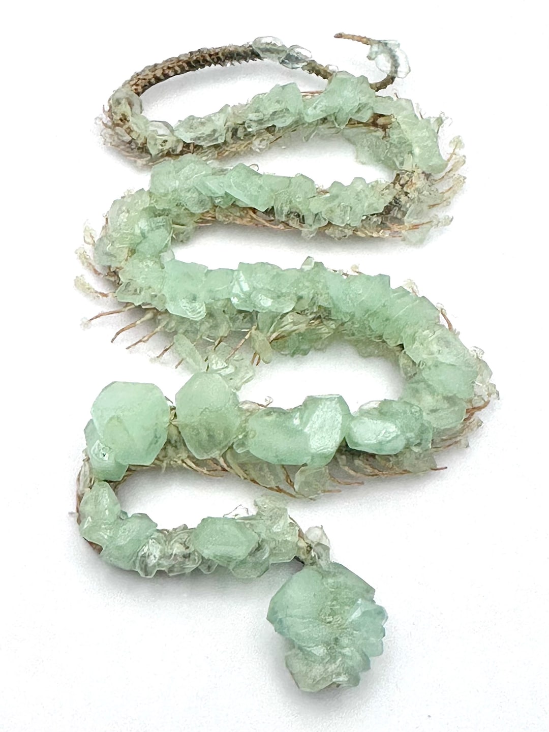 Crystallized Snake Skeleton melanterite Siderotil Mineral Real Animal ...