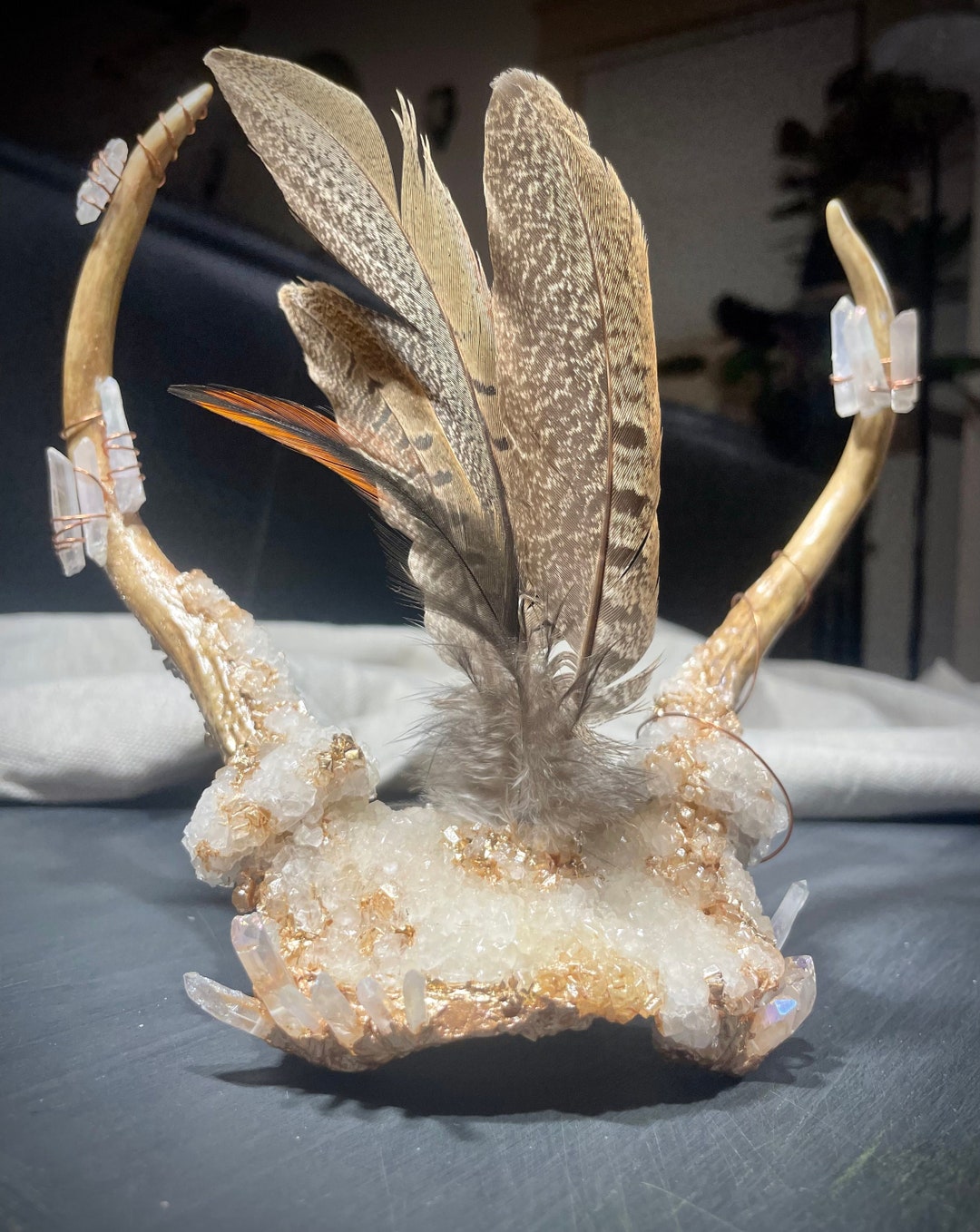 Crystallized Deer Antlers Taxidermy Animal Bones Skull - Etsy