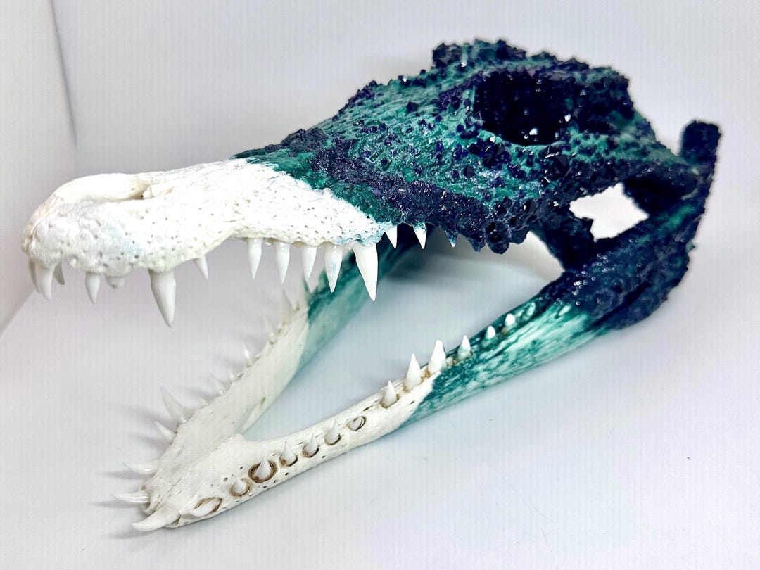 Crystallized Crocodile Skull Dark amethyst Crystal Geode Real Animal ...