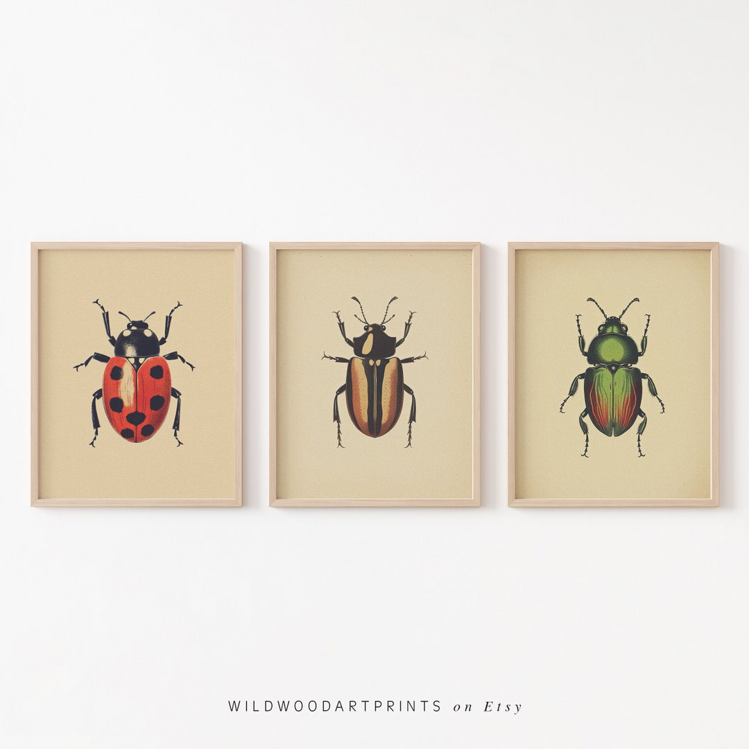 Antique Beetles, Vintage Bug PRINTABLE Wall Art Prints | Set of 3 ...