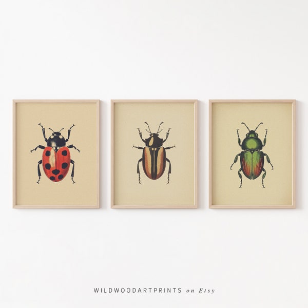 Insect Wall Art - Etsy