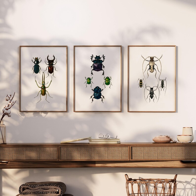 Vintage Insect Art Print, Set of 3 PRINTABLE Wall Art, Art Nouveau ...