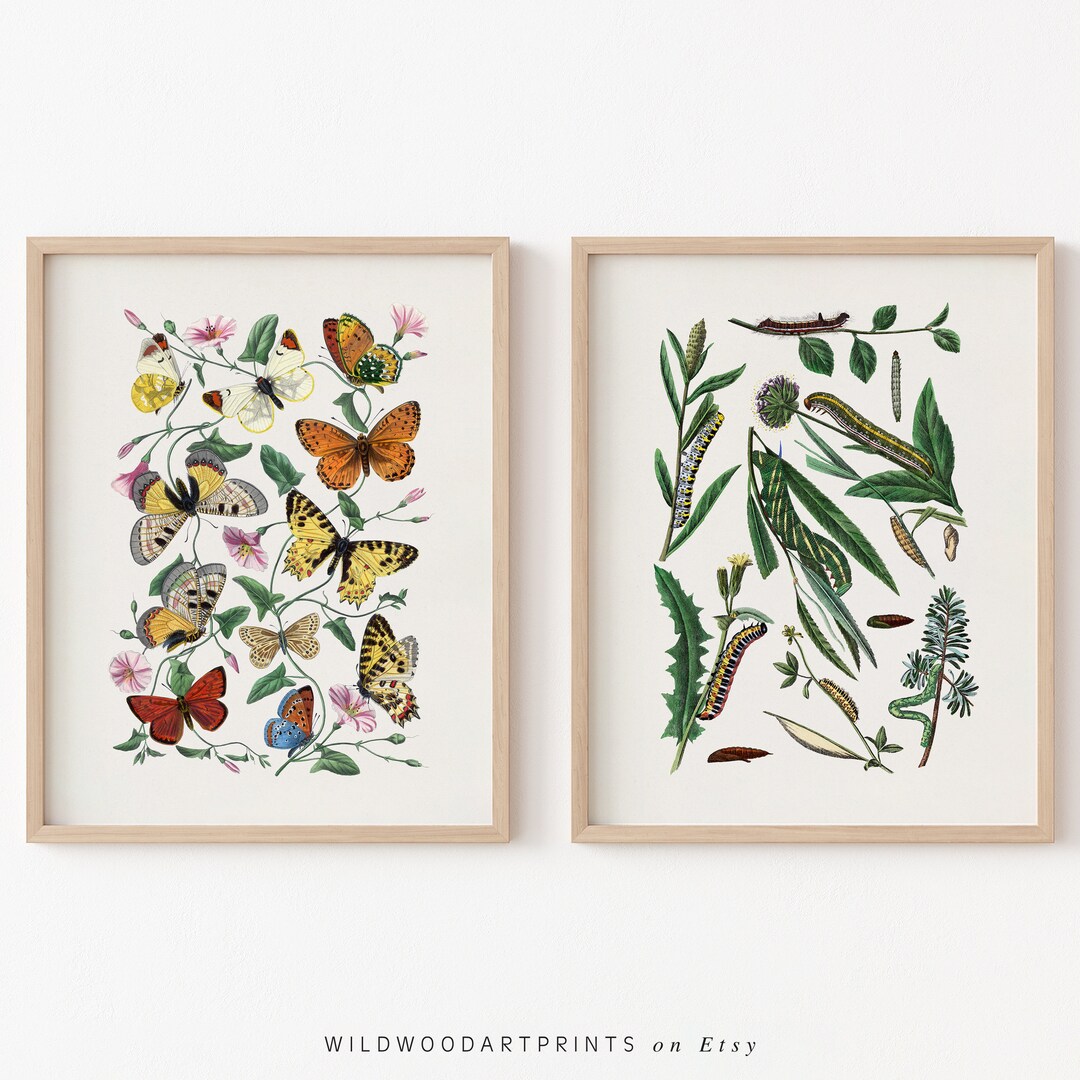 Vintage Insect Art Print, Set of 2 PRINTABLE Wall Art, Retro Butterfly ...