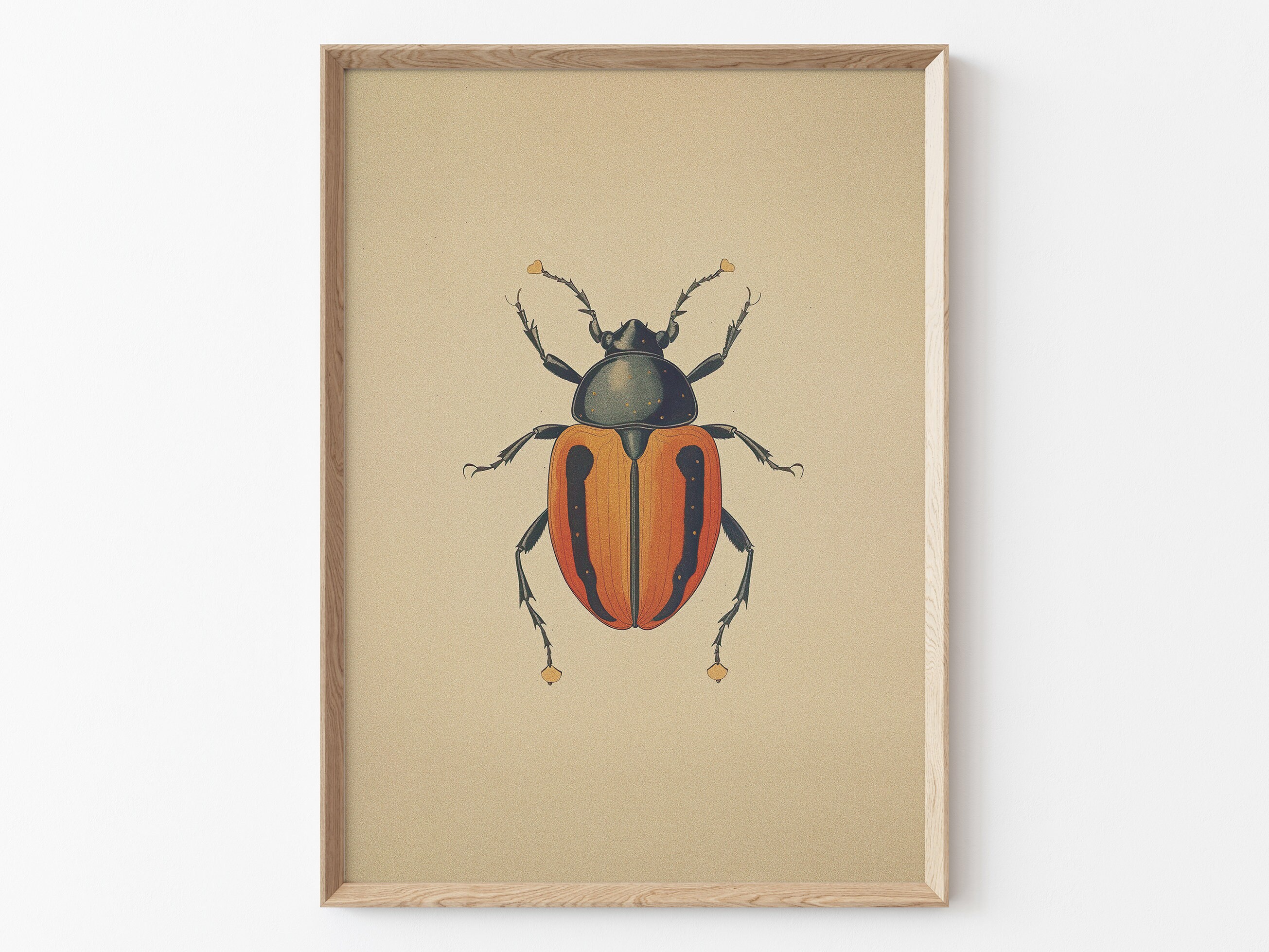 Antique Beetles, Vintage Bugs PRINTABLE Wall Art Prints | Set of 4 ...