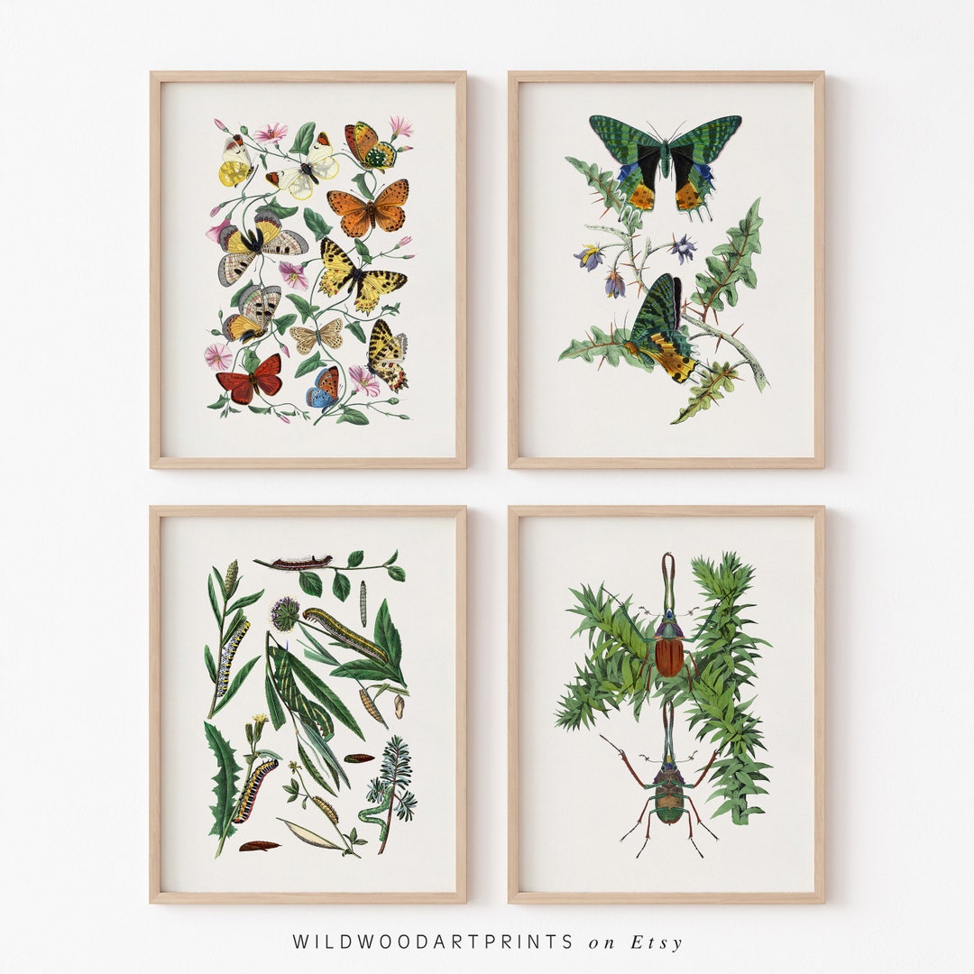 Vintage Botanical Insect Art Print, Set of 4 PRINTABLE Wall Art, Retro ...