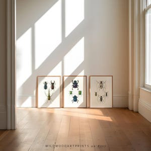 Vintage Insect Art Print, Set of 3 PRINTABLE Wall Art, Art Nouveau ...