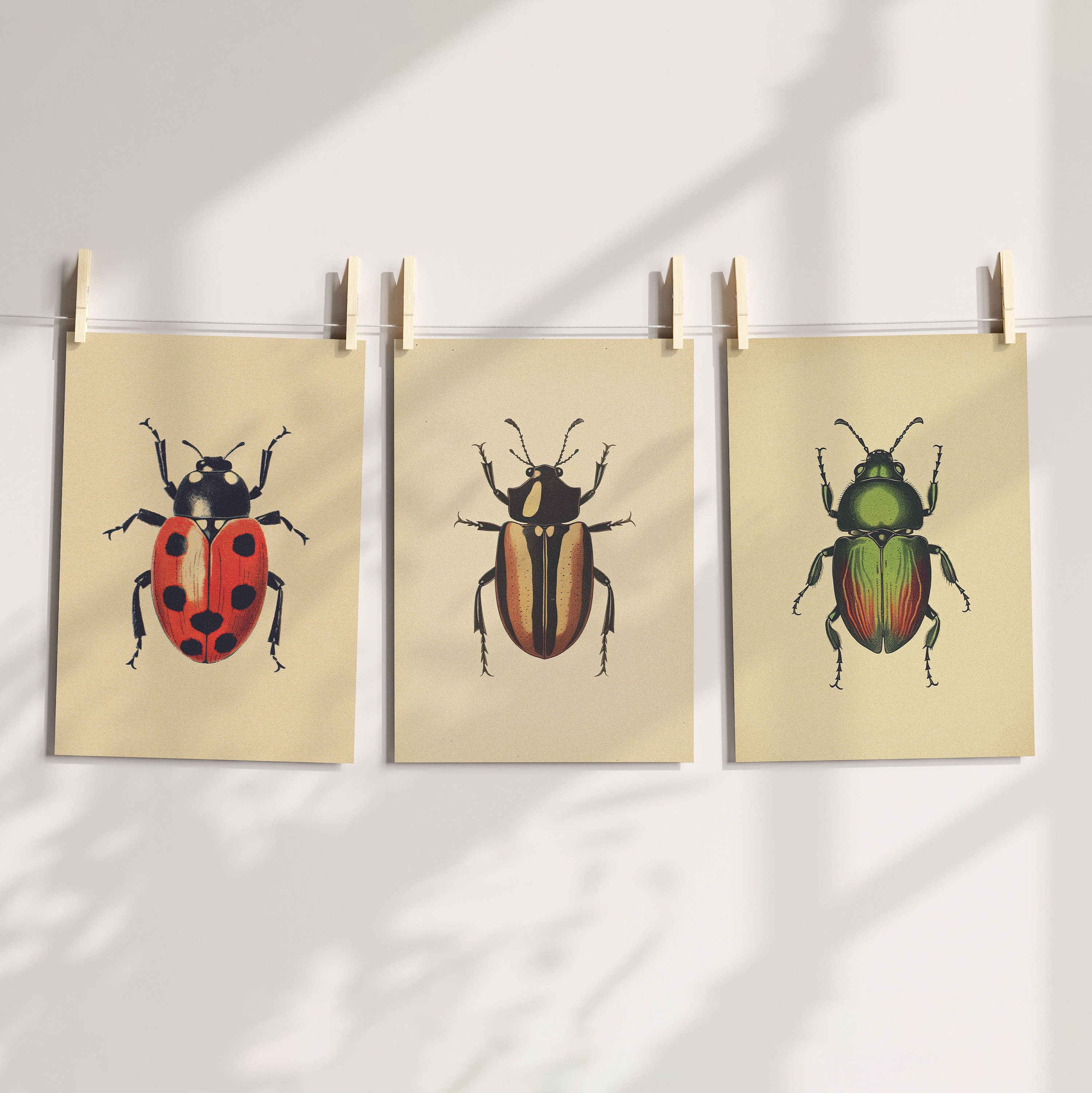 Antique Beetles, Vintage Bug PRINTABLE Wall Art Prints | Set of 3 ...