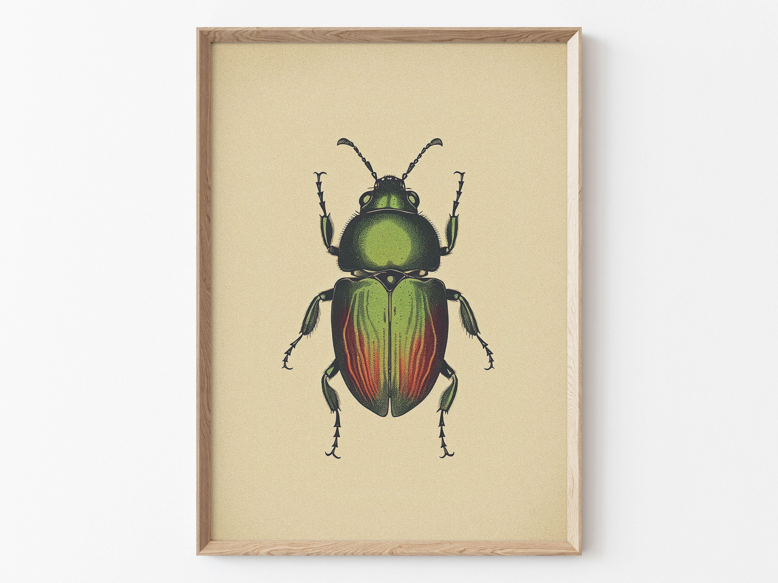 Antique Beetles Vintage Bug PRINTABLE Wall Art Prints Set - Etsy