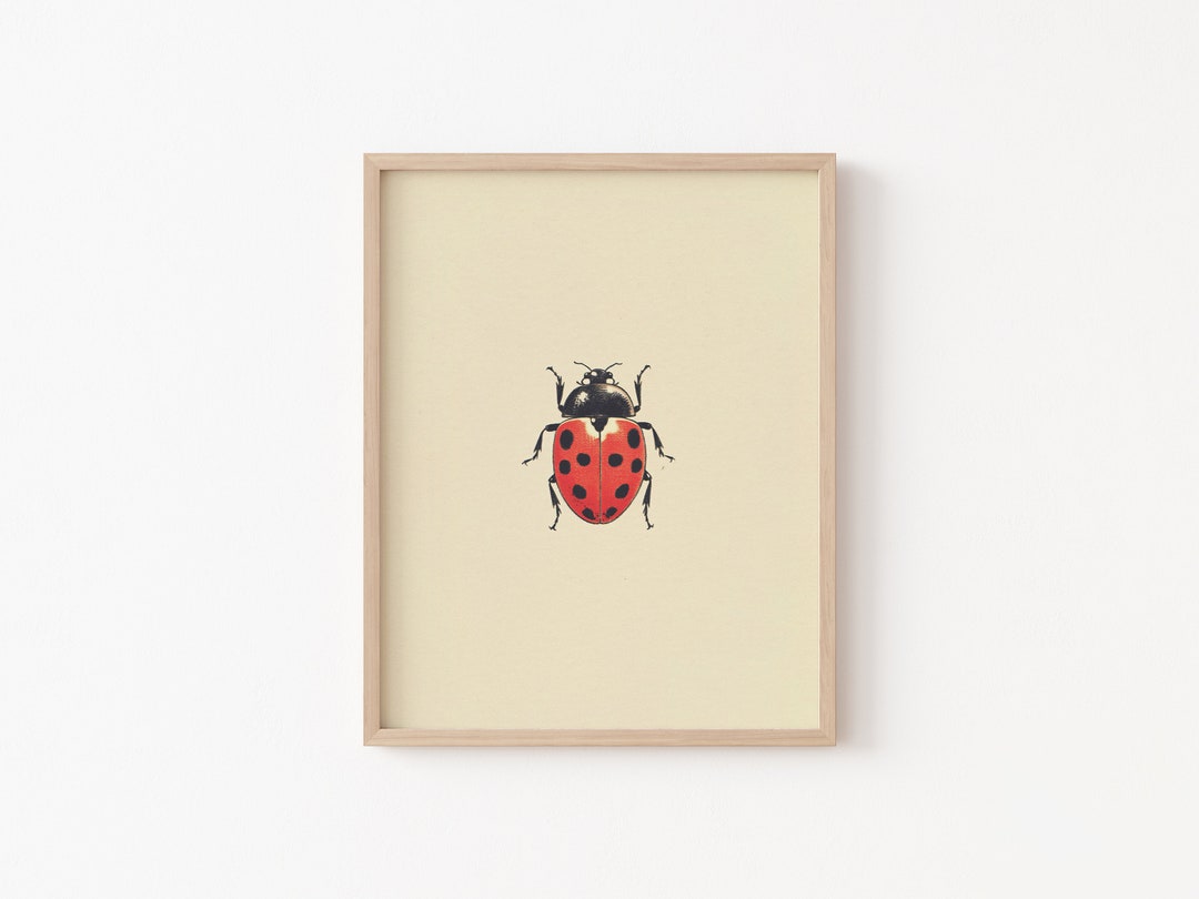 Vintage Ladybug, Antique Beetle PRINTABLE Wall Art Print | Red ...
