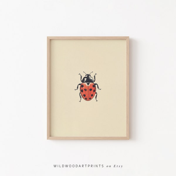 Ladybug Print - Etsy