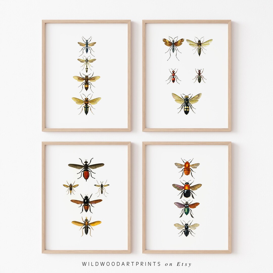Vintage Insect Art Print, Set of 4 PRINTABLE Wall Art, Antique Wasp ...