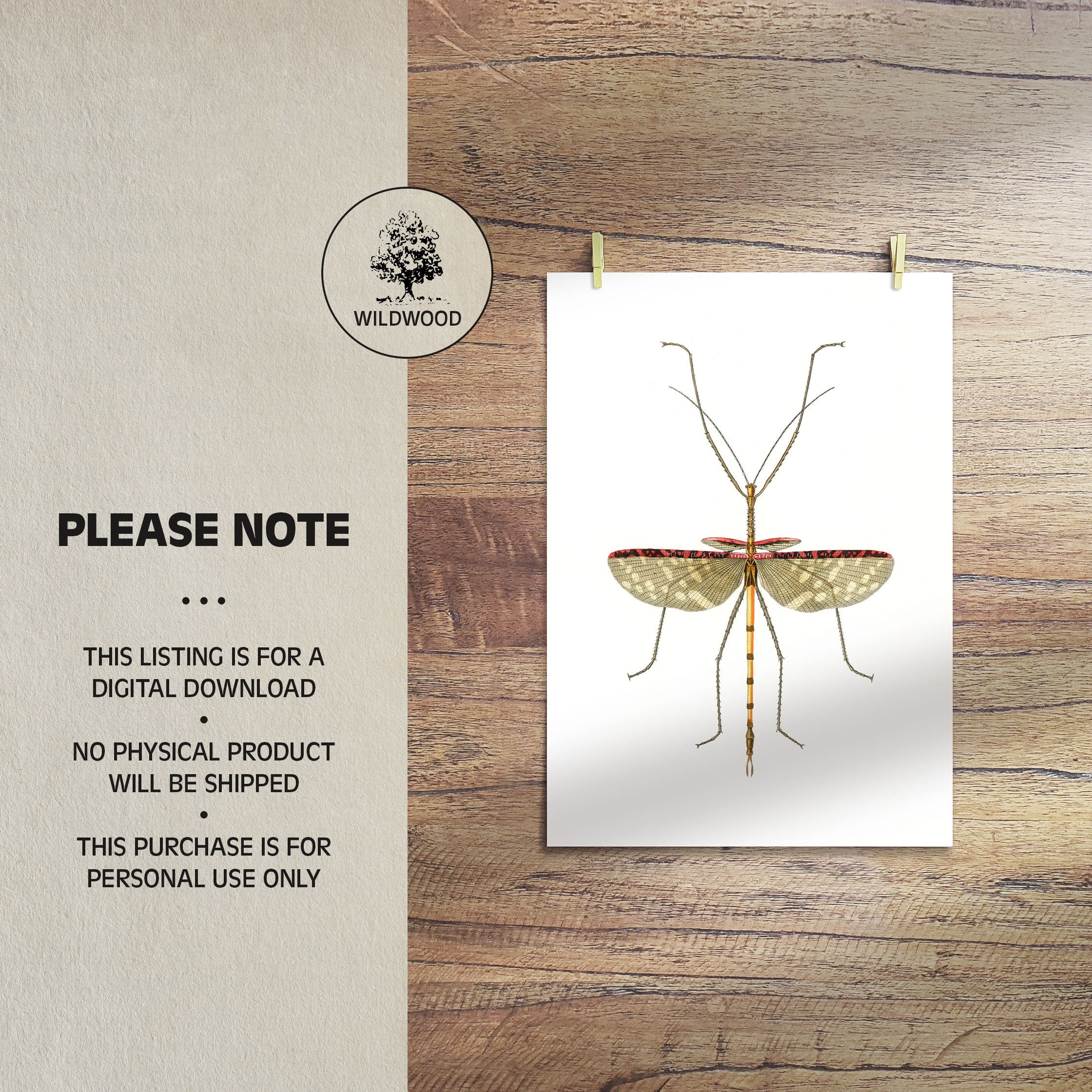 Retro Insect Art Print, Vintage PRINTABLE Wall Art, Stick Insect ...
